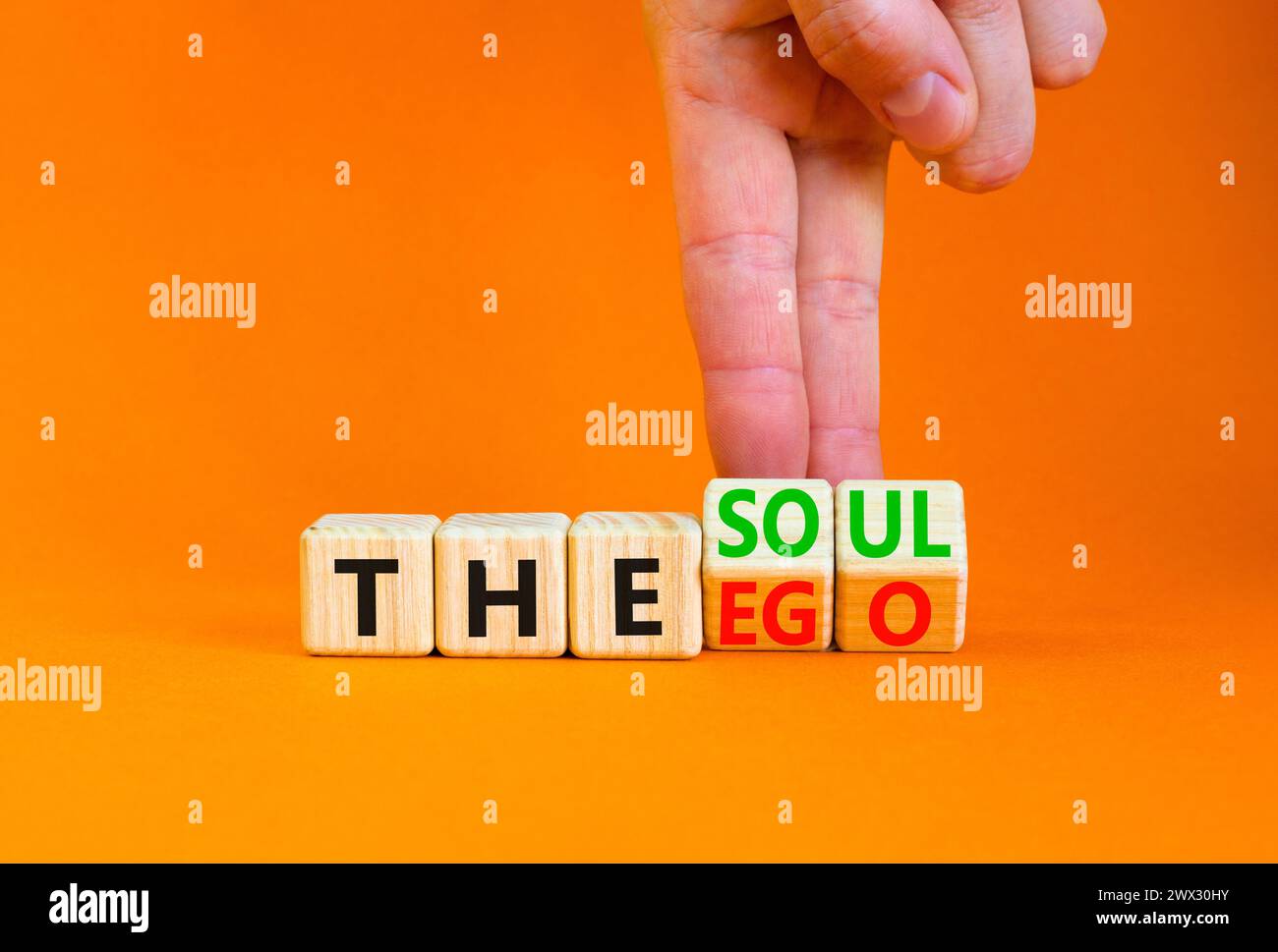 Soul or ego symbol. Concept word The soul or The ego on beautiful ...