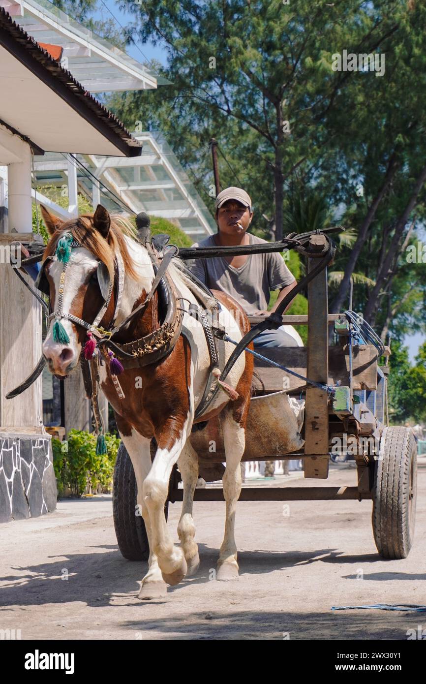 Local resident of the island of Gili Trawangan who is driving a cidomo ...