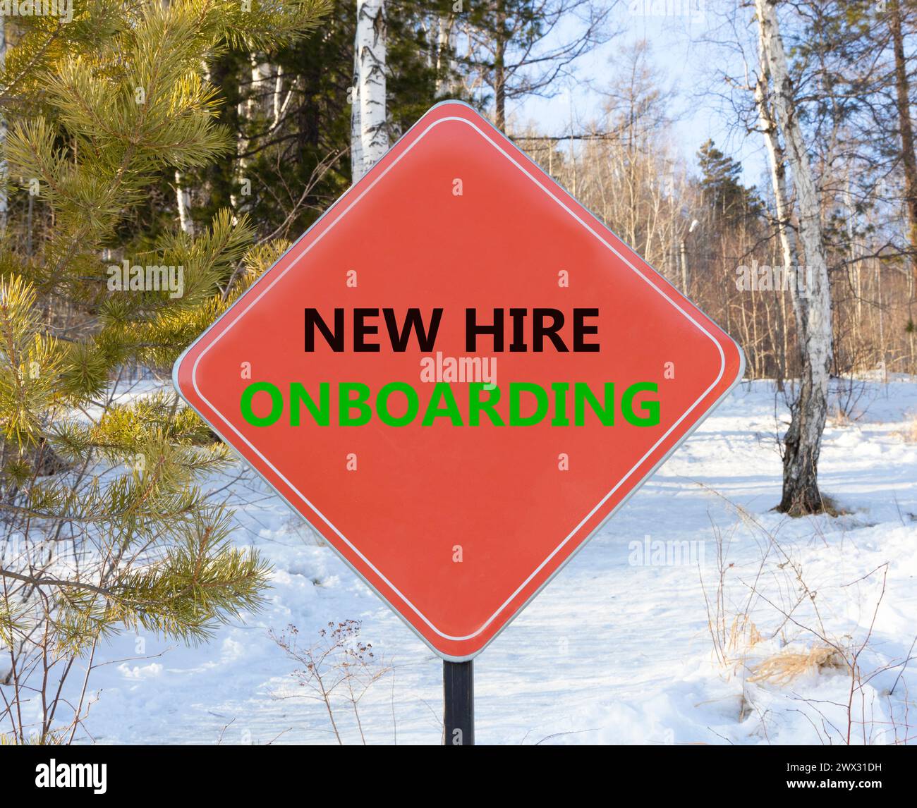New hire onboarding symbol. Concept words New hire onboarding on ...