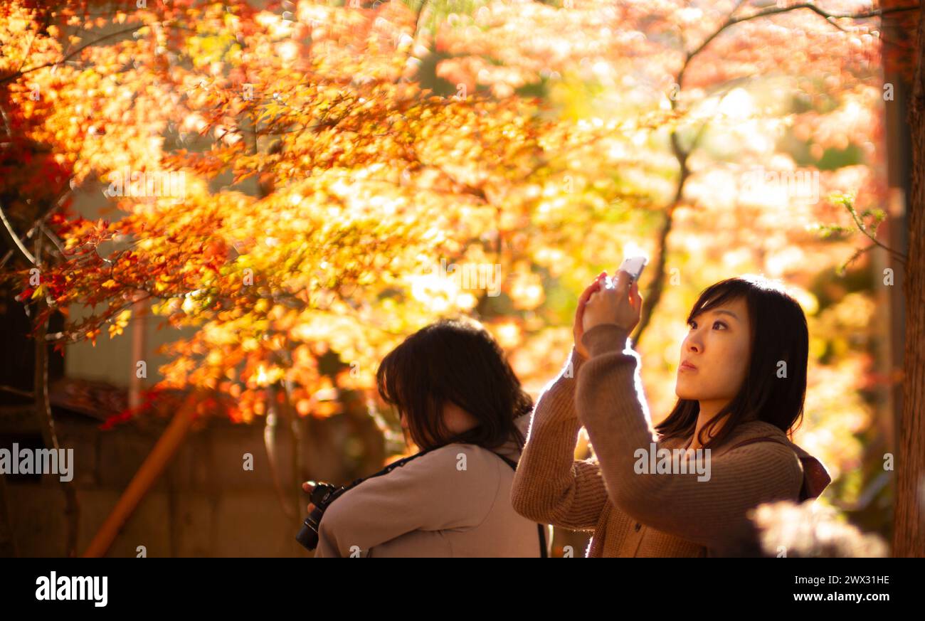 Capturing the beauty at the Japanese garden entrance, Maple Corridor ...