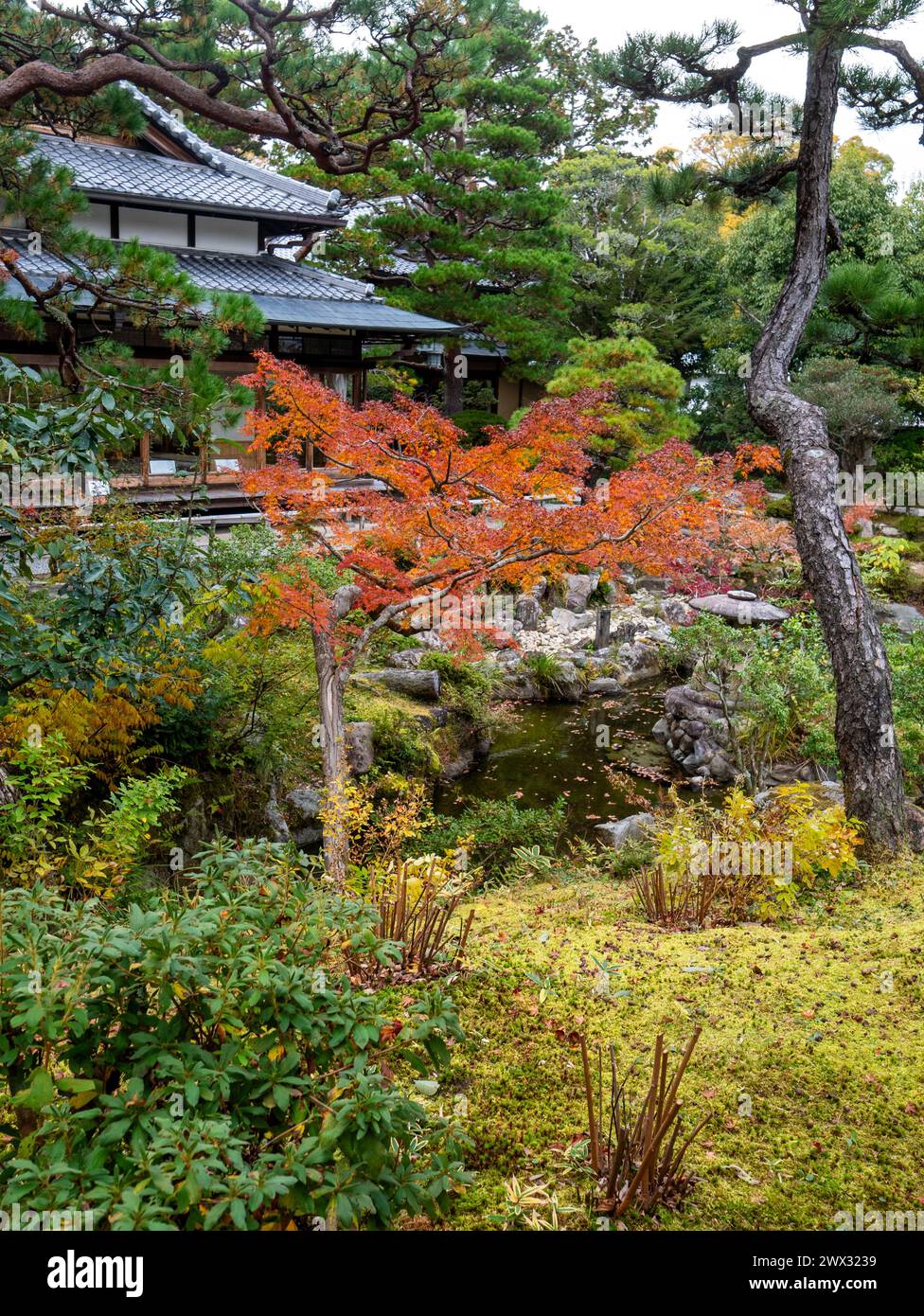 Tee house in Insuien Garden Nara, Japan Stock Photo - Alamy