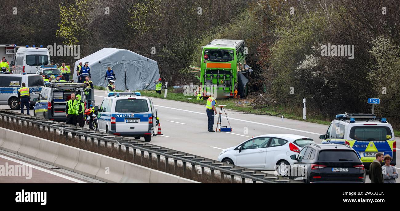 Number five bus hi-res stock photography and images - Alamy