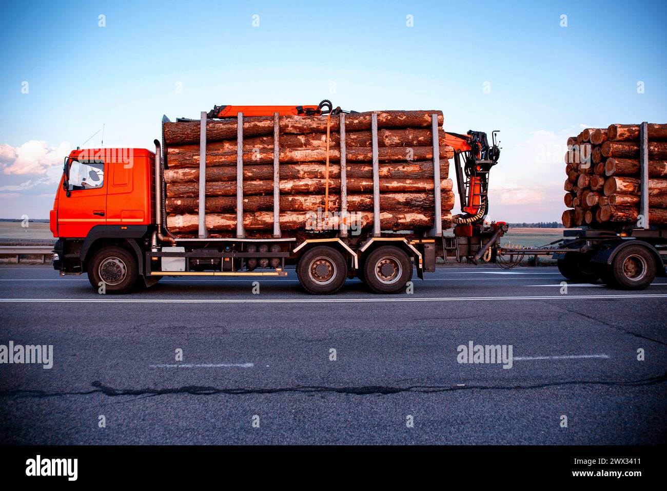 A red truck with logs transports round timber along the highway in the ...
