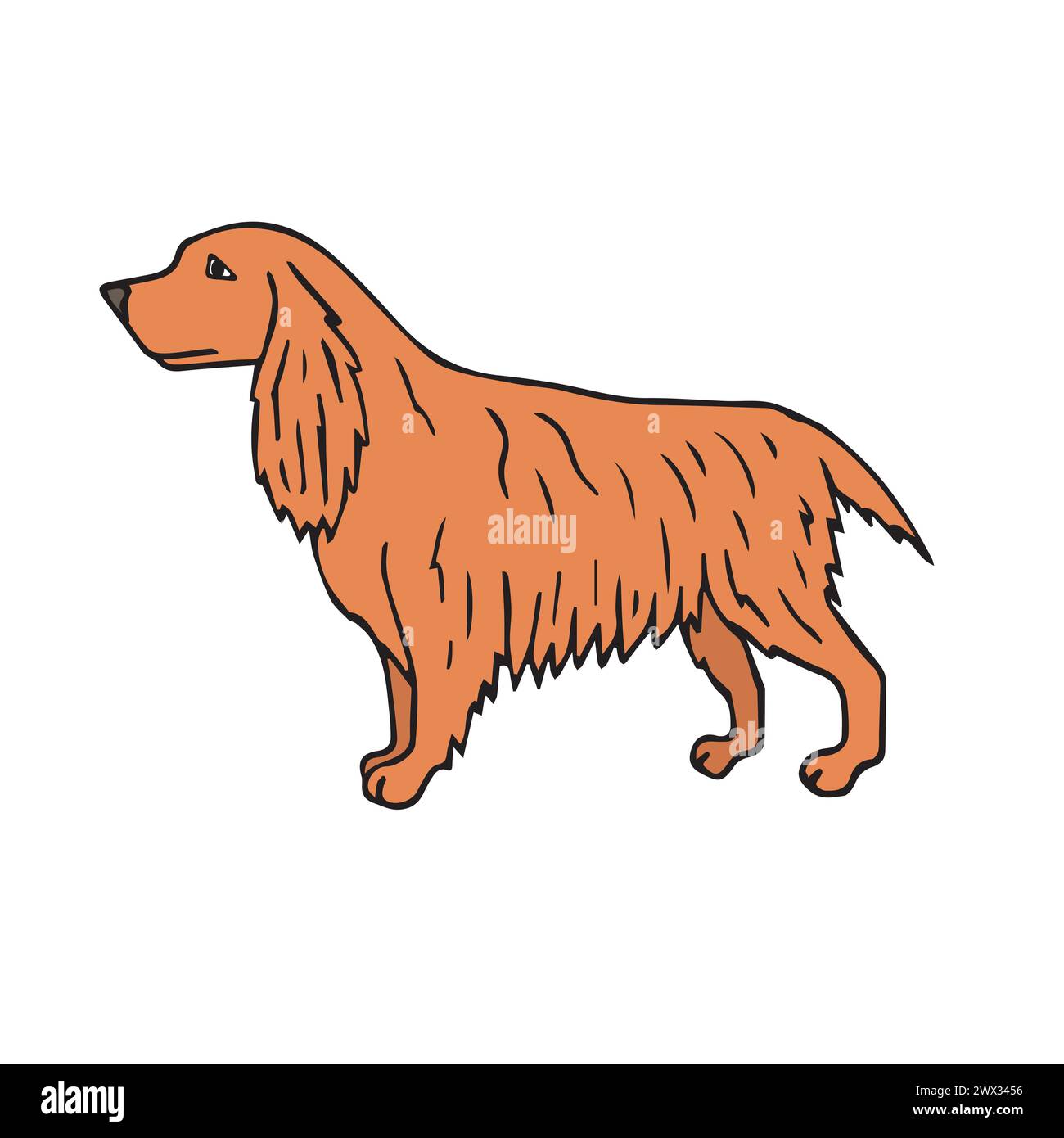 Vector hand drawn doodle sketch colored spaniel dog isolated on white ...