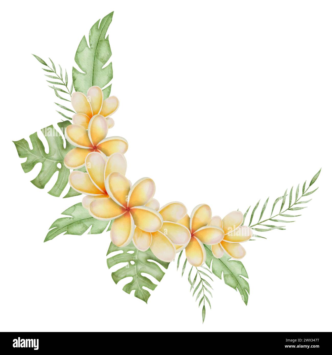Plumeria Watercolor Frame Border. Frangipani flower with tropical ...