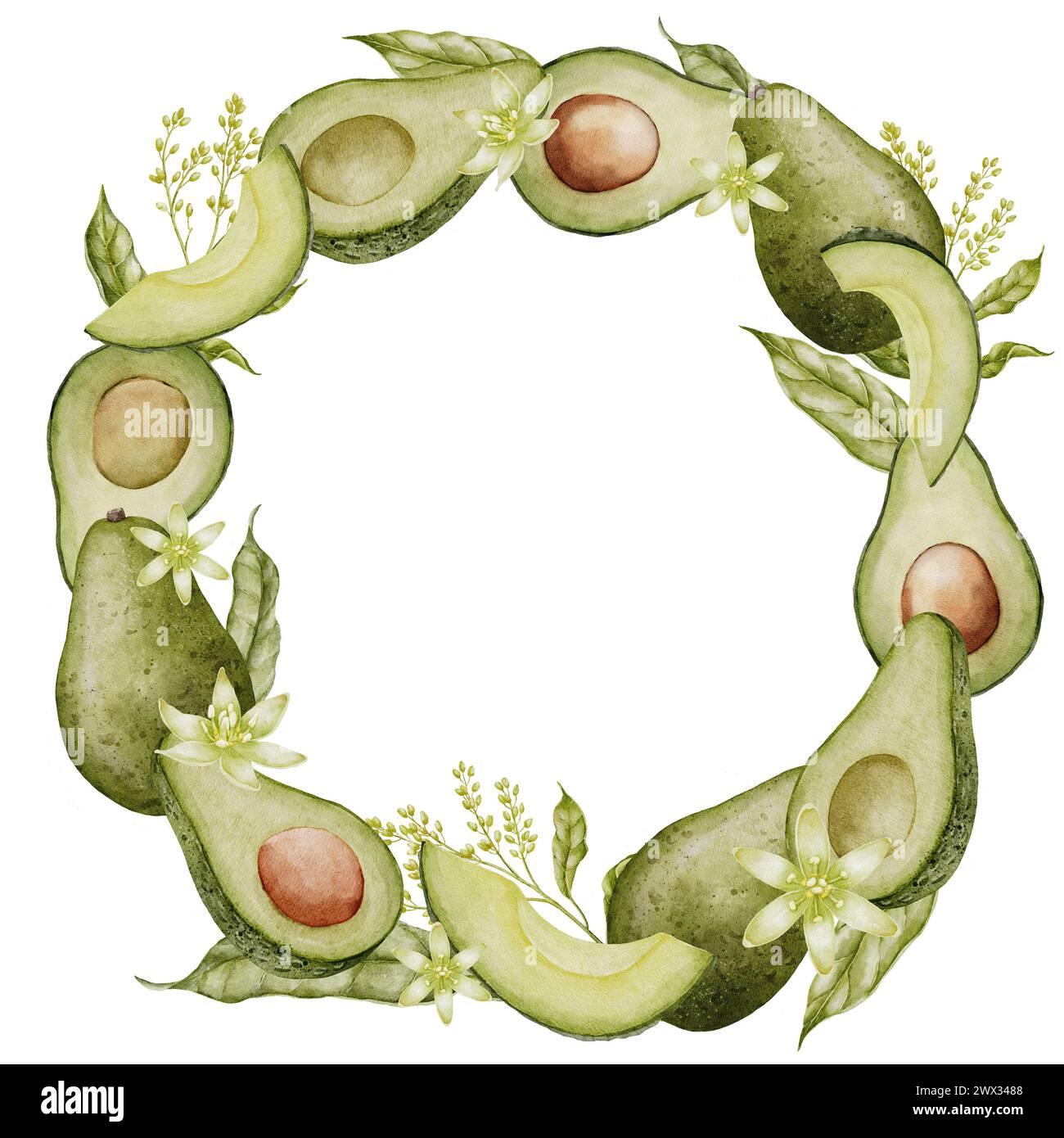 Avocado circular Frame Border. Watercolor wreath with tropical fruit ...