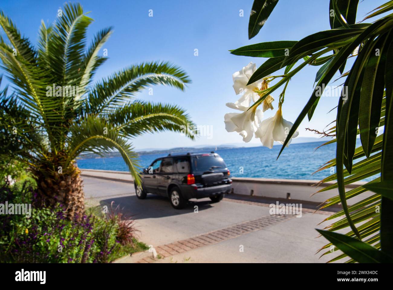 Car is very rare on Spetses road with amazing garden - one of the best ...