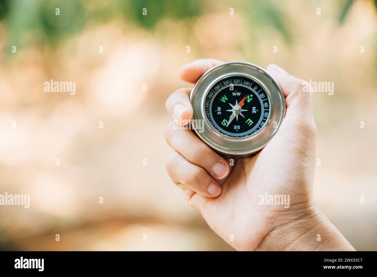 In the forest a hiker conquers confusion by holding a compass. The ...