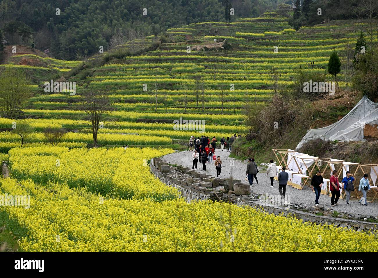 Huangshan, China's Anhui Province. 27th Mar, 2024. Tourists visit a ...