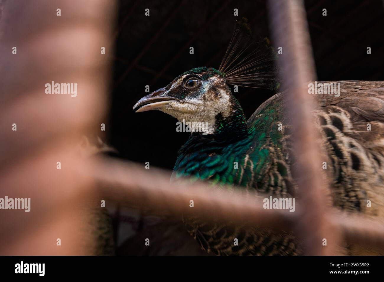 Locked behind hi-res stock photography and images - Alamy