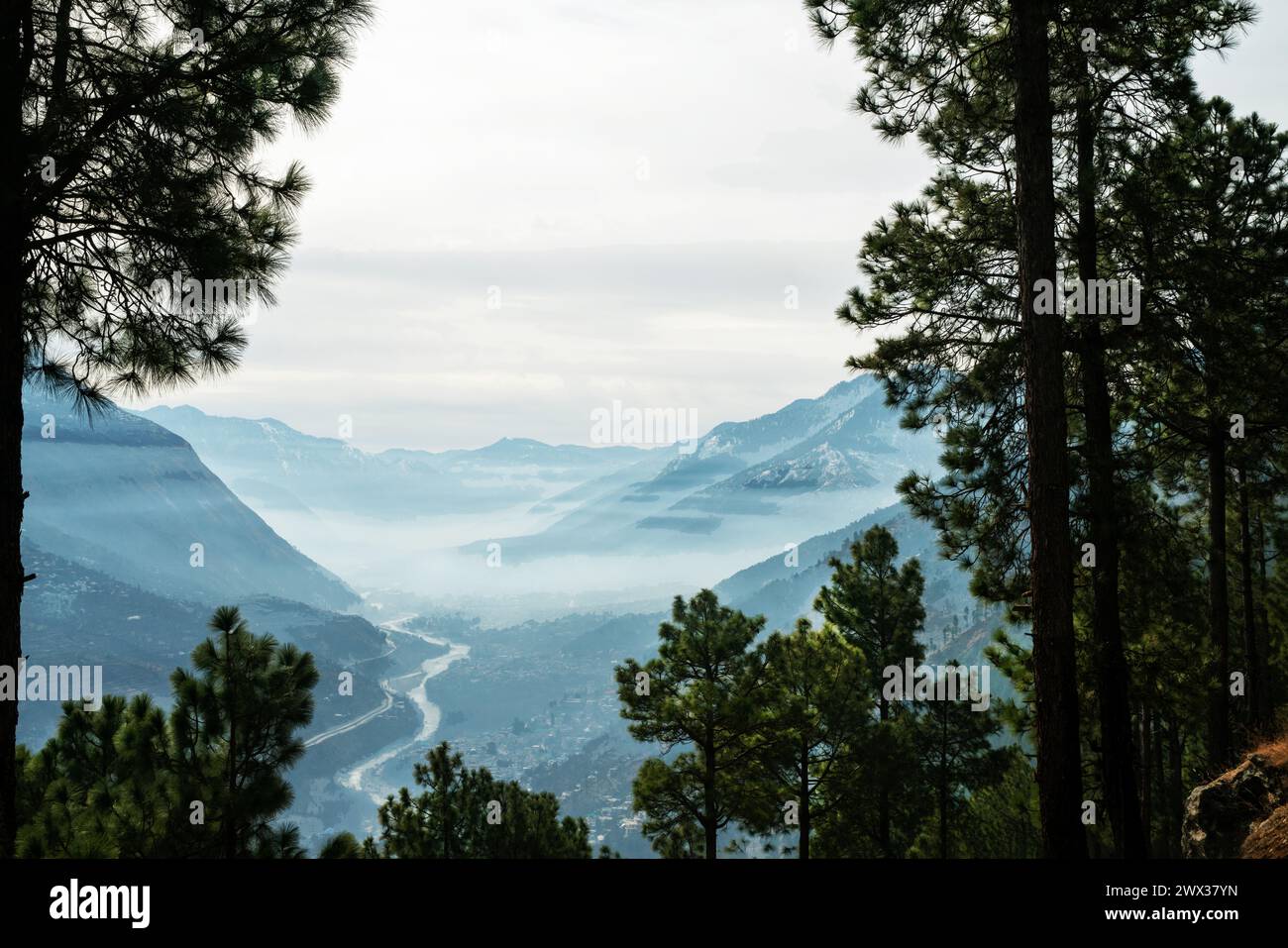 Amazing sunny view on Beas river in Kullu (Himachal Pradesh) with pine ...