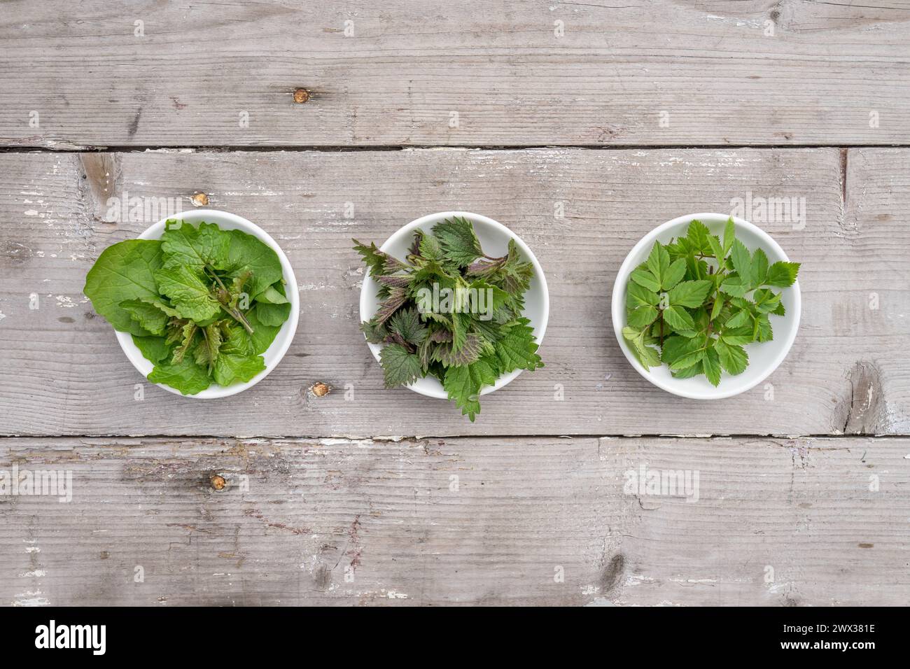 White bowls with fresh stinging nettle, gourd and garlic rocket on a ...