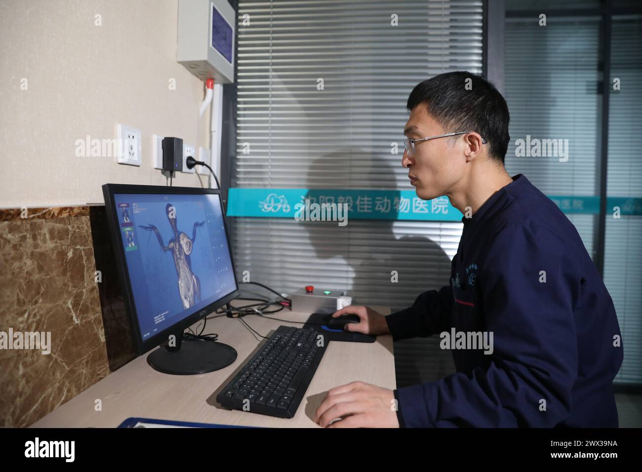 X ray examinations hi-res stock photography and images - Alamy