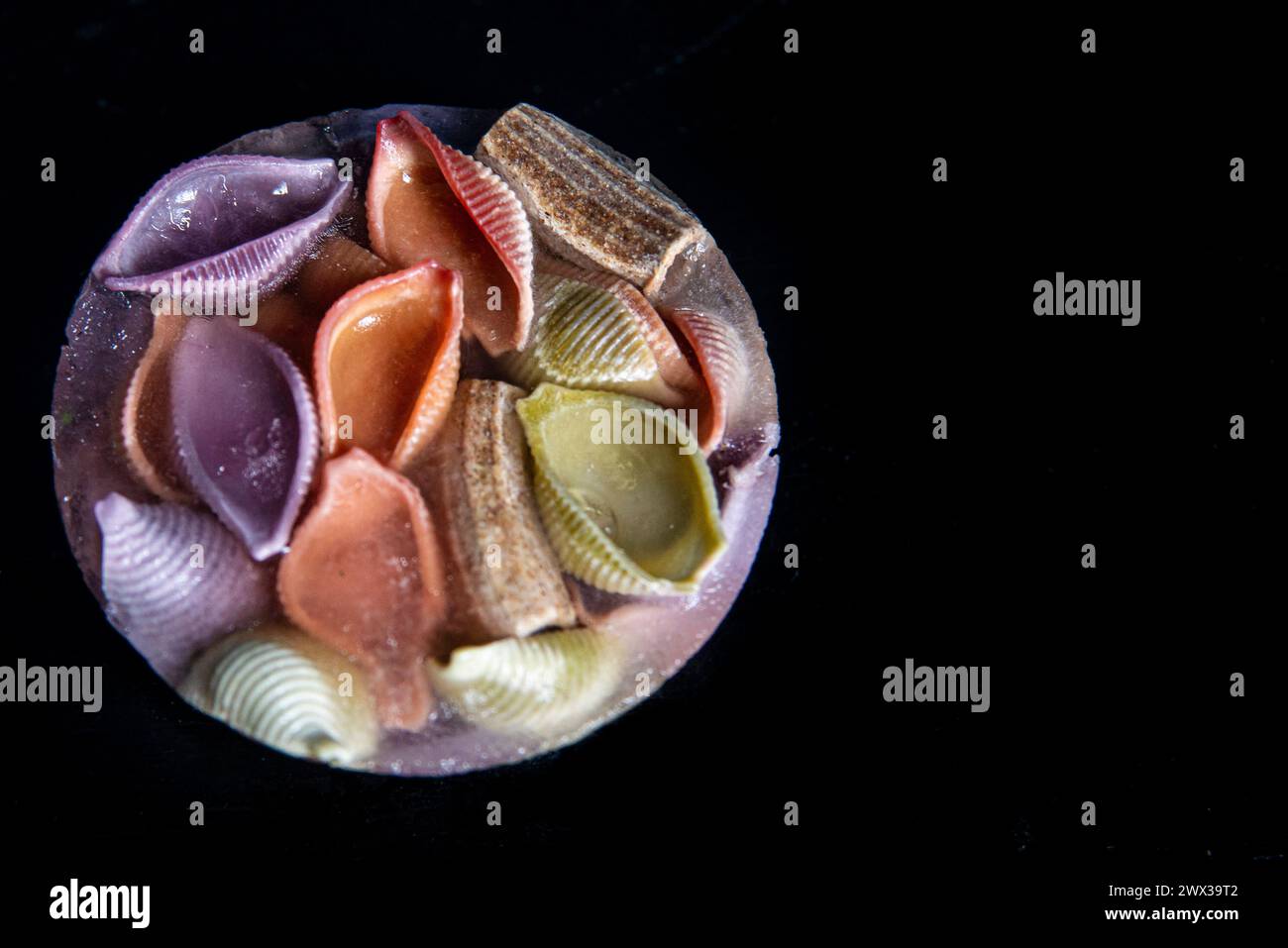 Close-up of colourful rigatoni and shell pasta shapes frozen in ice ...