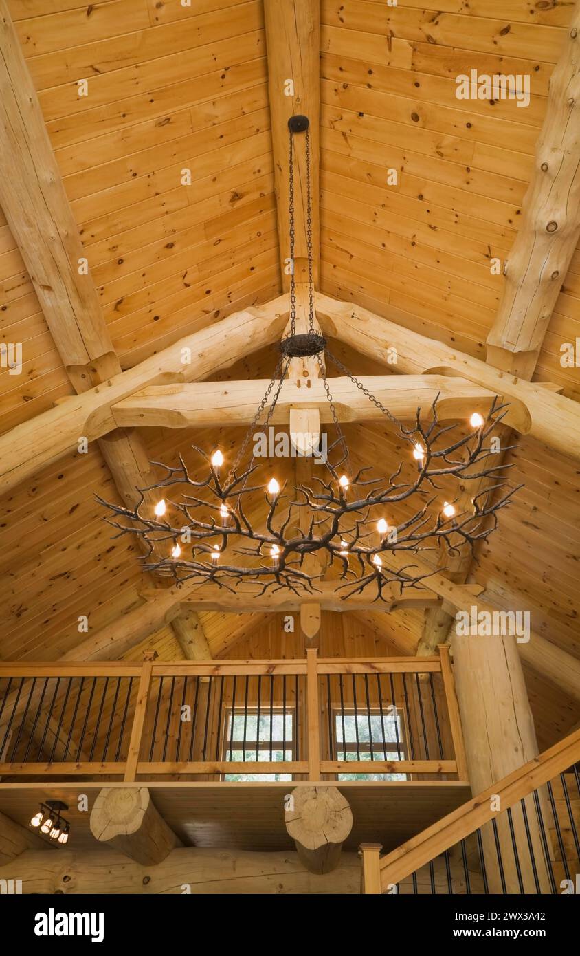 Knotty pine wood planks high cathedral ceiling with illuminated deer ...
