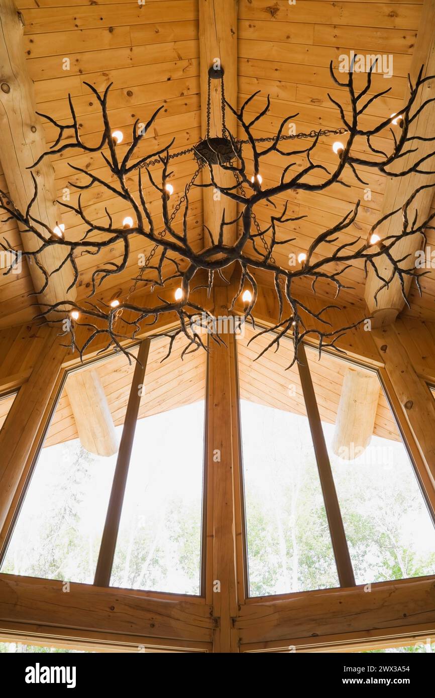 Illuminated deer antlers chandelier hanging from high cathedral knotty ...