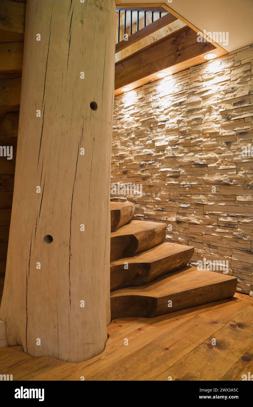Twisting wooden staircase with brown stained half log steps attached to ...