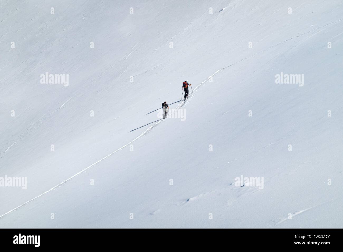 Two people ski touring making their own track up an untouched ...