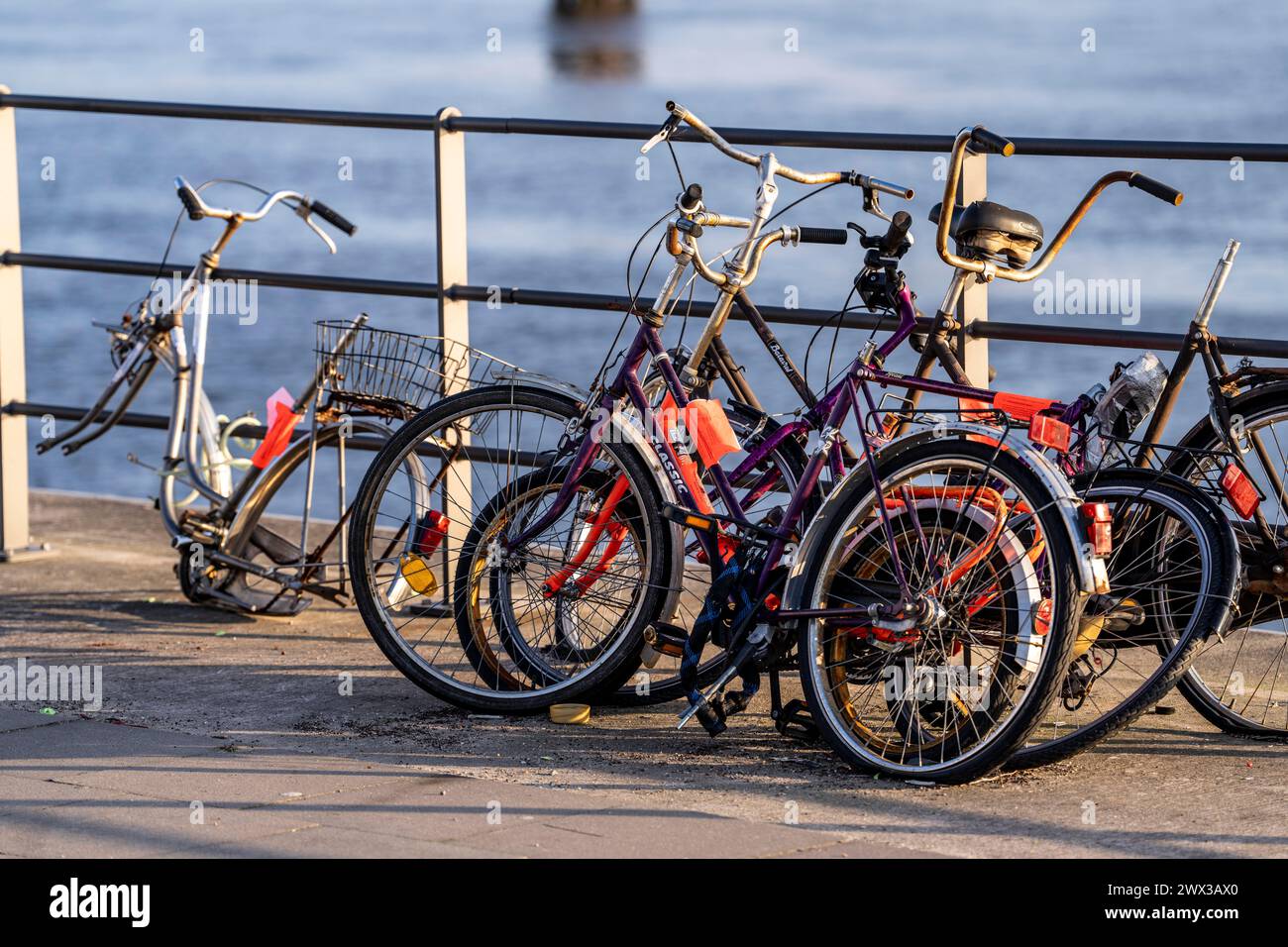 Scrap bicycles, old, partly looted, dismantled bicycles, in the ...