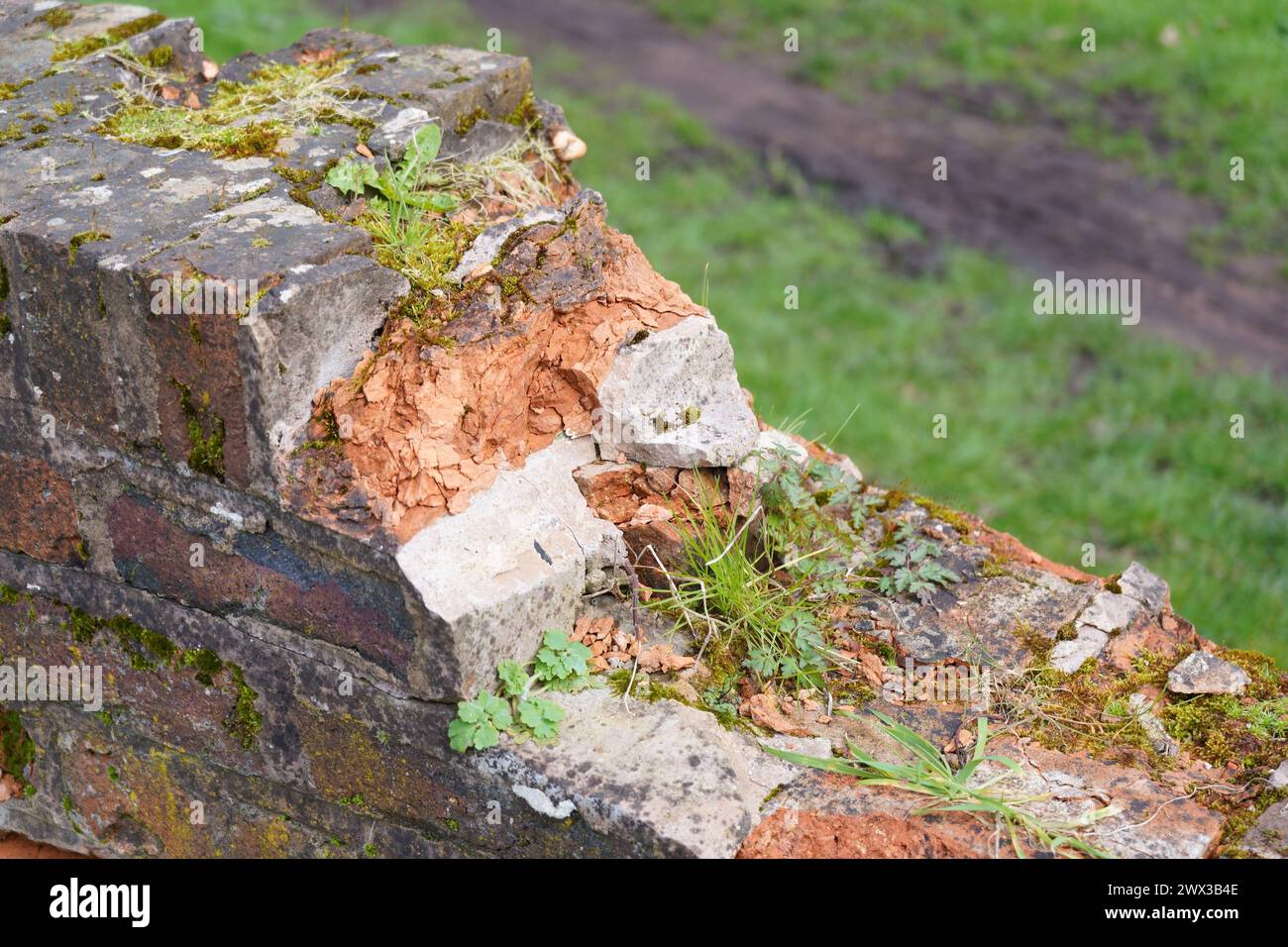 Frost damged brick hi-res stock photography and images - Alamy