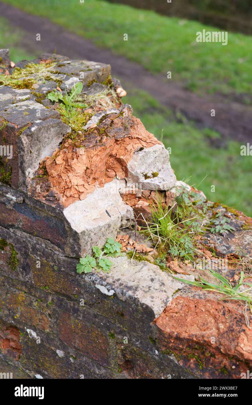 Frost damged brick hi-res stock photography and images - Alamy