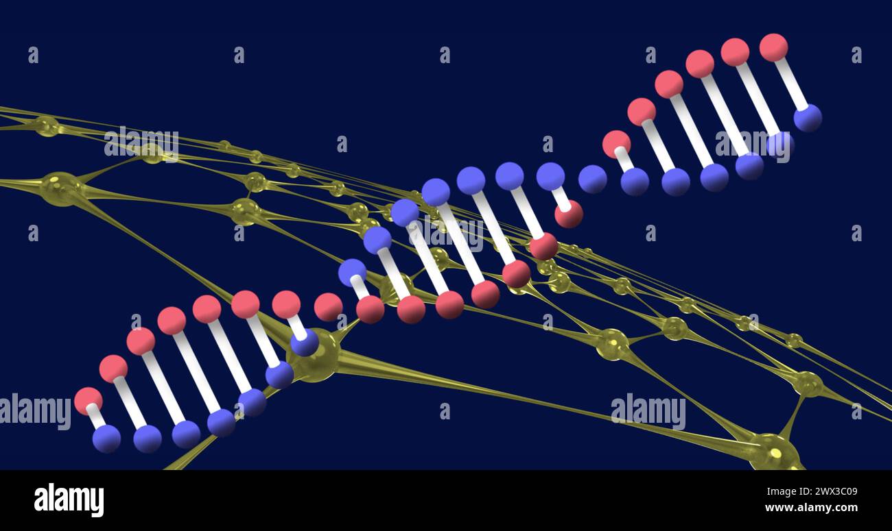 Image of dna structure and networking design representing global ...