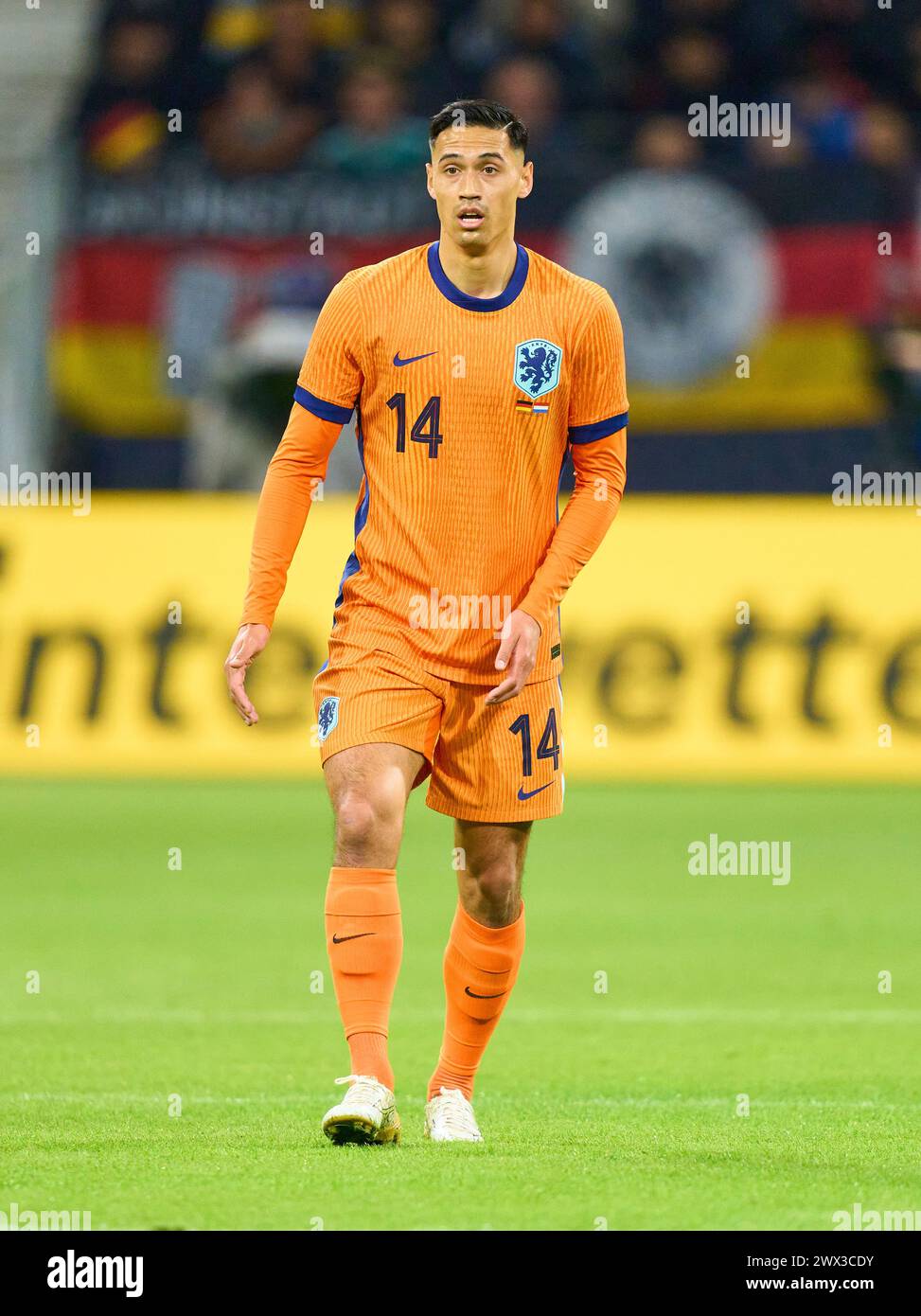 Tijani Reijnders, NL 14 in the friendly match GERMANY - NETHERLANDS 2-1 ...