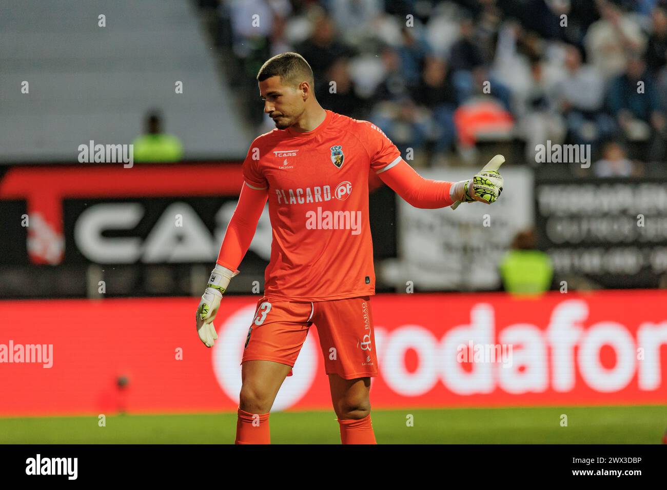 Ricardo Velho during Liga Portugal game between SC Farense and Rio Ave ...
