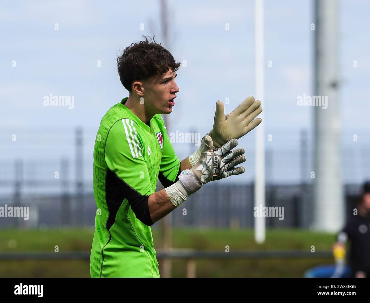 Tubize, Belgium. 25th Mar, 2024. goalkeeper Kit Margetson (1) of Wales ...