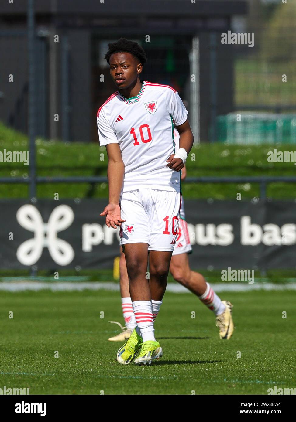 Tubize, Belgium. 25th Mar, 2024. Menzi Mazwi (10) of Wales asking for ...