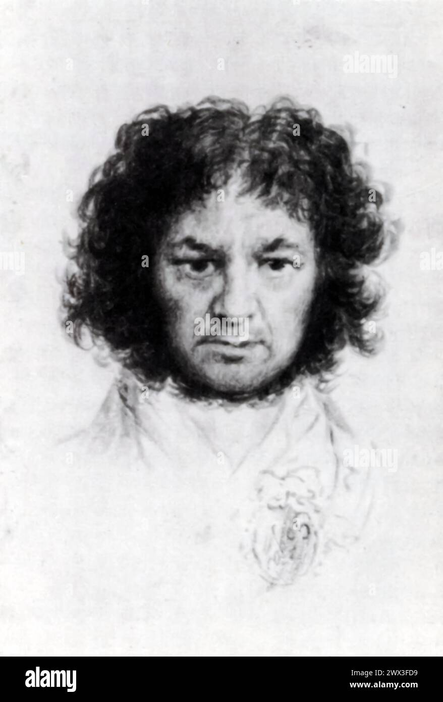 A portrait of Francisco Goya, the celebrated Spanish artist, dates back ...