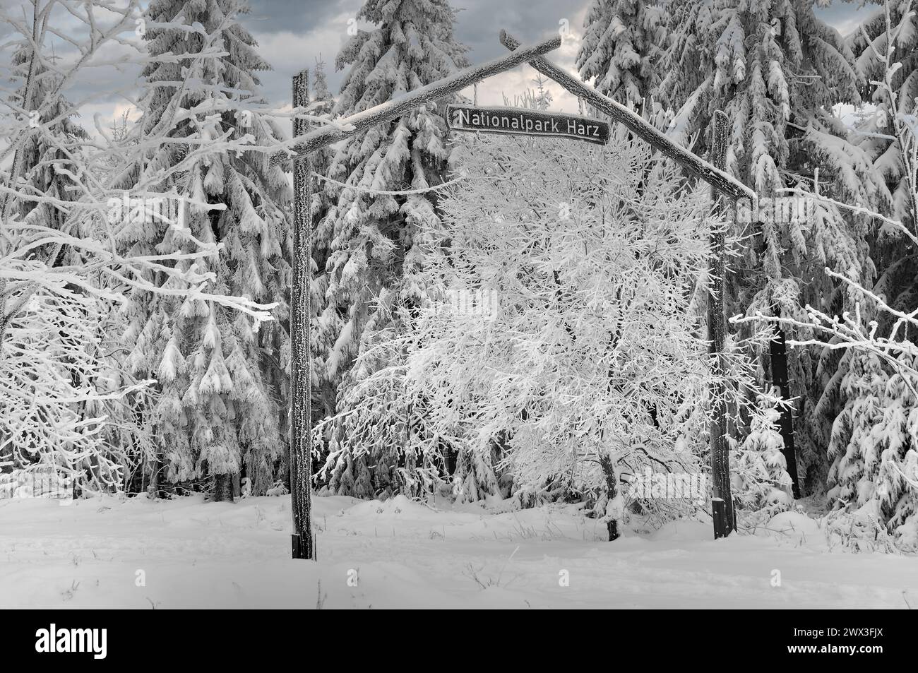 Winter Landscape in Harz Mountains,Harz National Park,Germany Stock ...