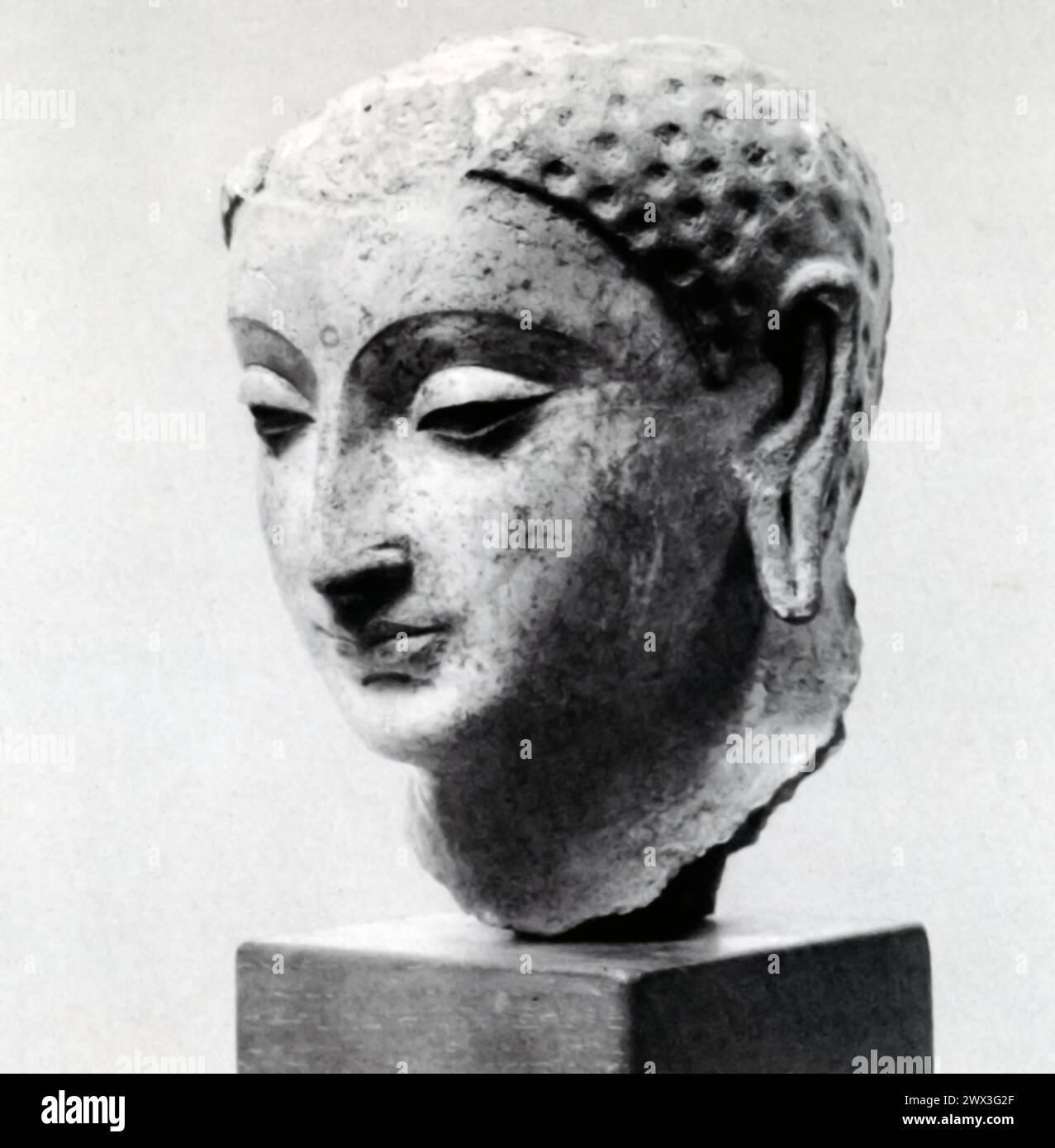 Asian adaptation hi-res stock photography and images - Alamy