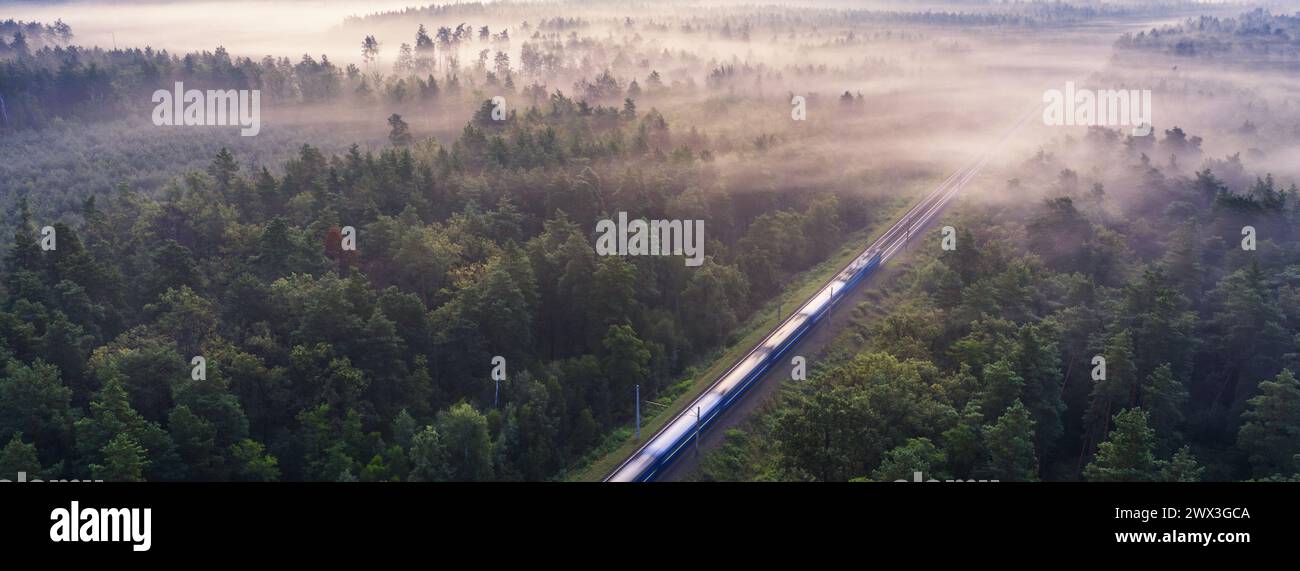 Whispering Rails: Train Moving Through the Enigmatic Forest Fog Stock ...