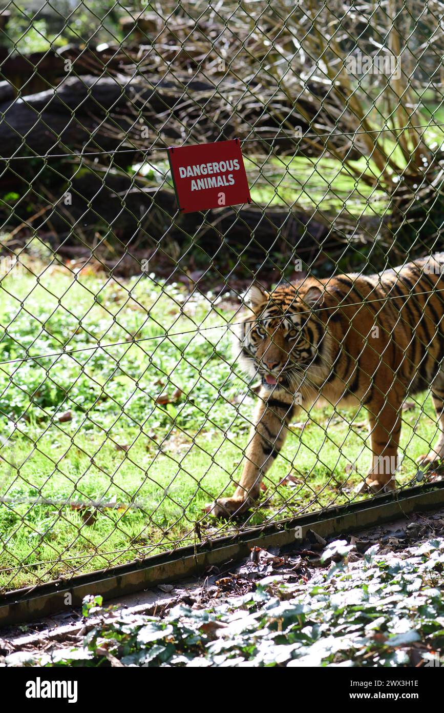 Dangerous animals sign hi-res stock photography and images - Alamy