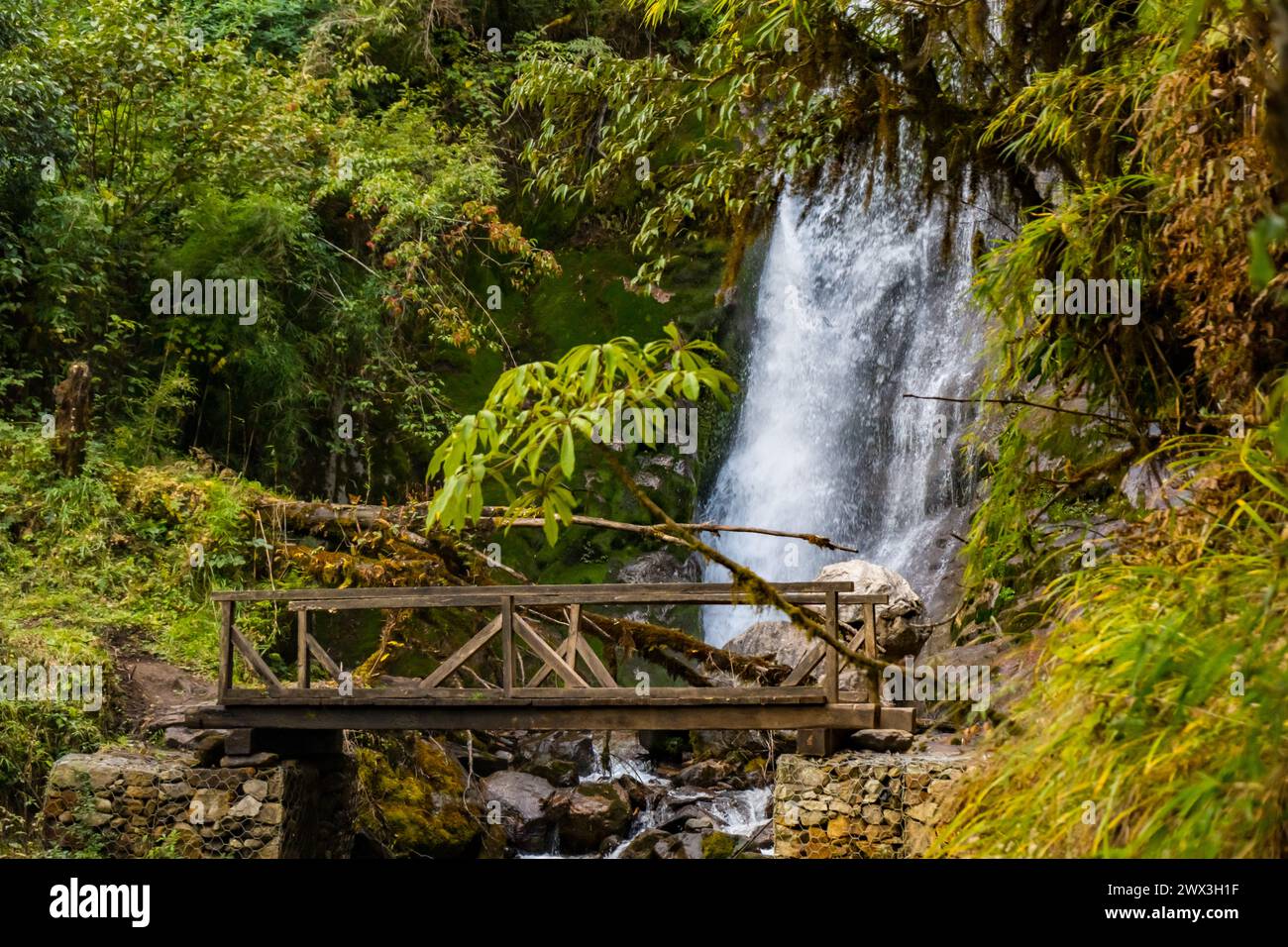 A waterfall with wooden bridge in Thangyam Village of Taplejung ...