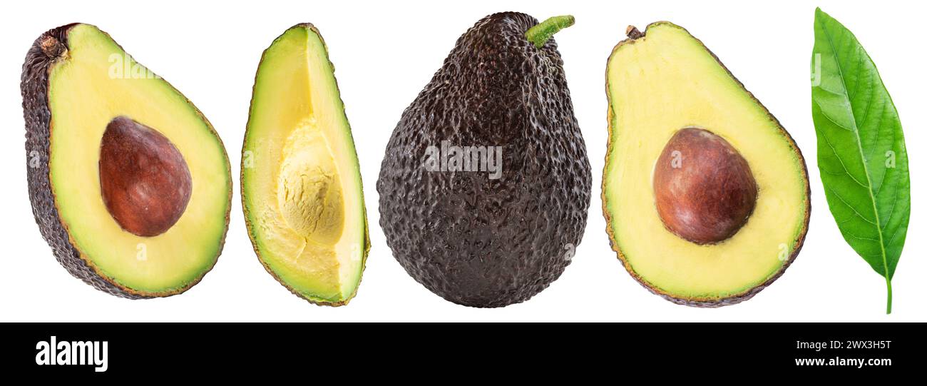 Set of avocado slices, avocado fruit and leaf isolated on white ...