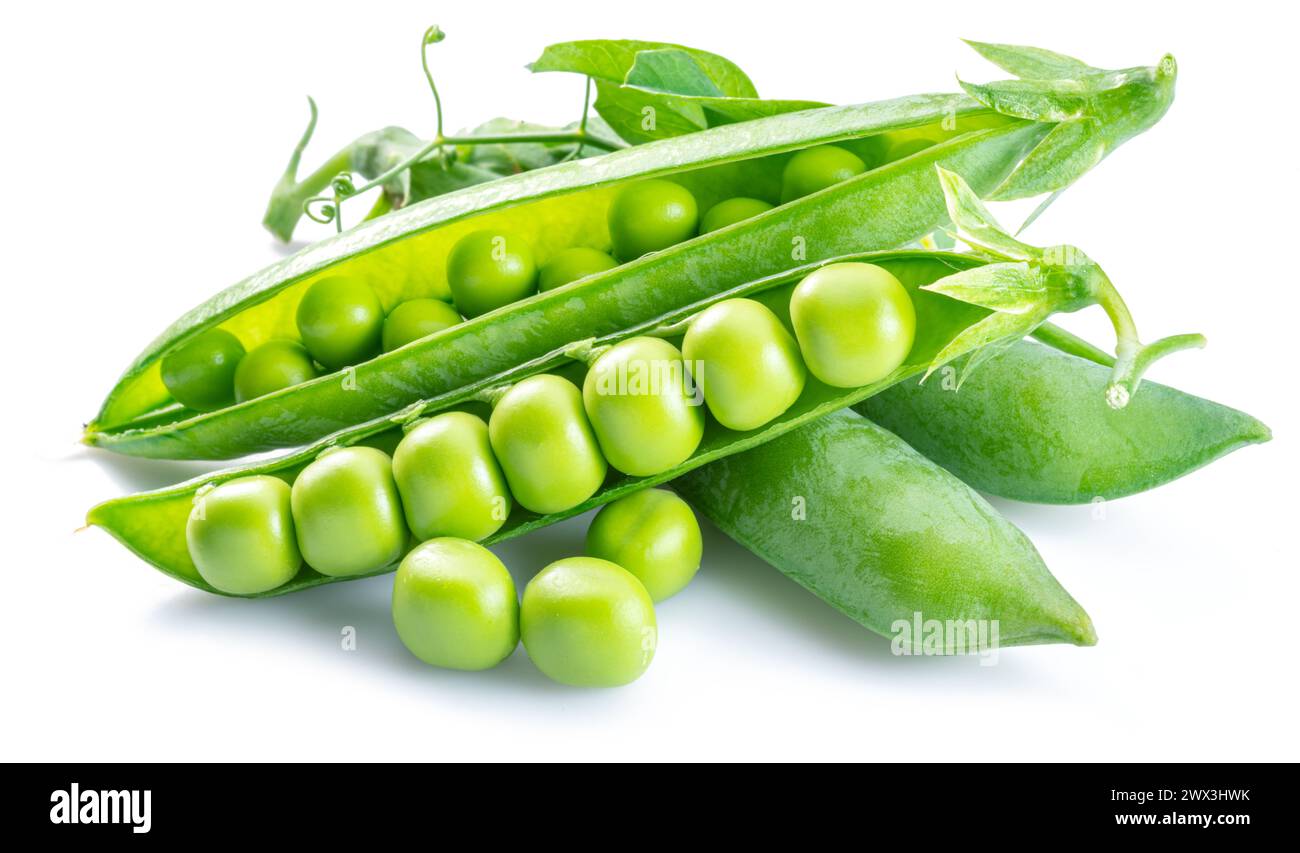 Opened ripe pea pods isolated on white background Stock Photo - Alamy