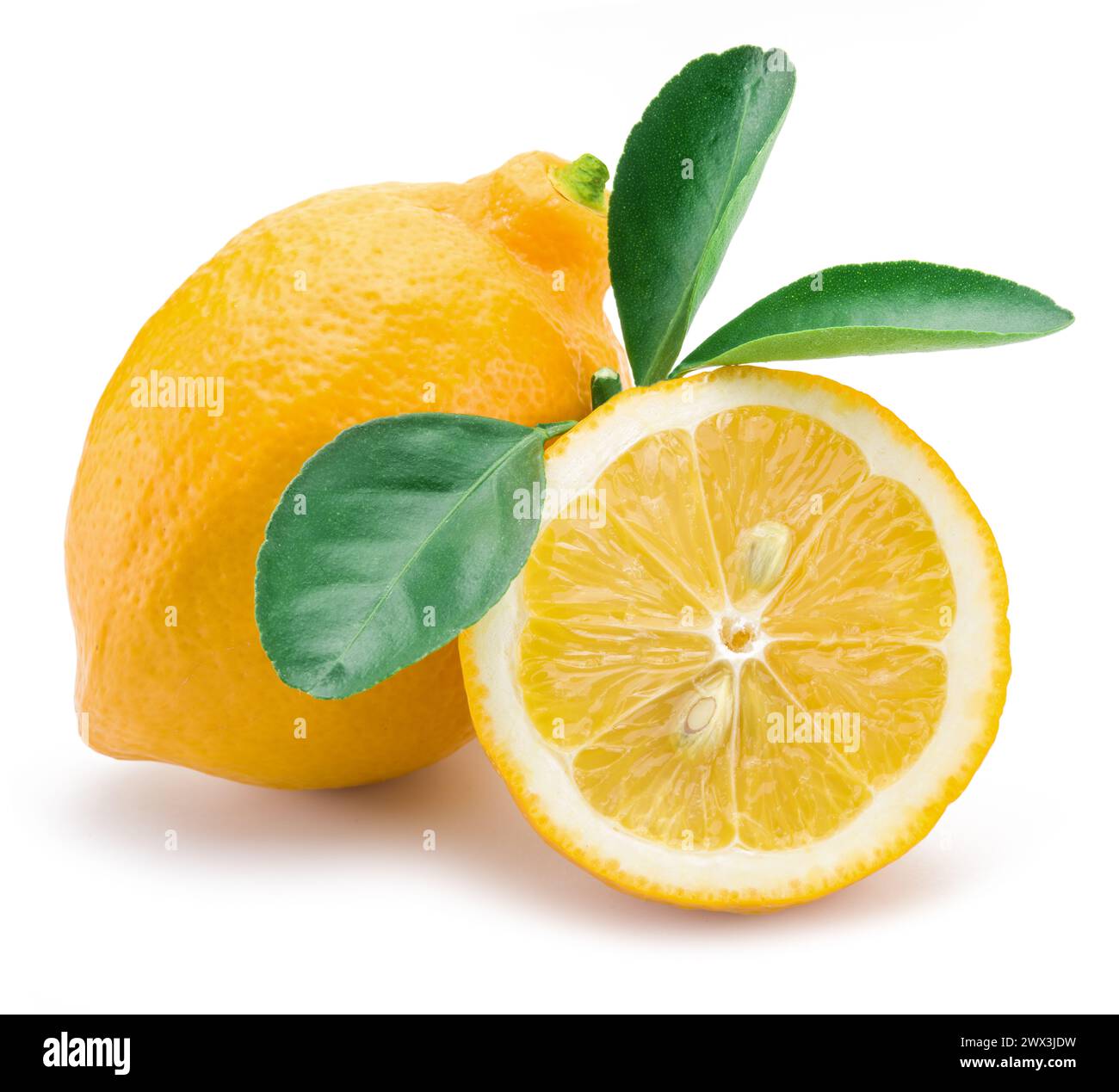 Ripe lemon fruits with leaf isolated on white background Stock Photo ...