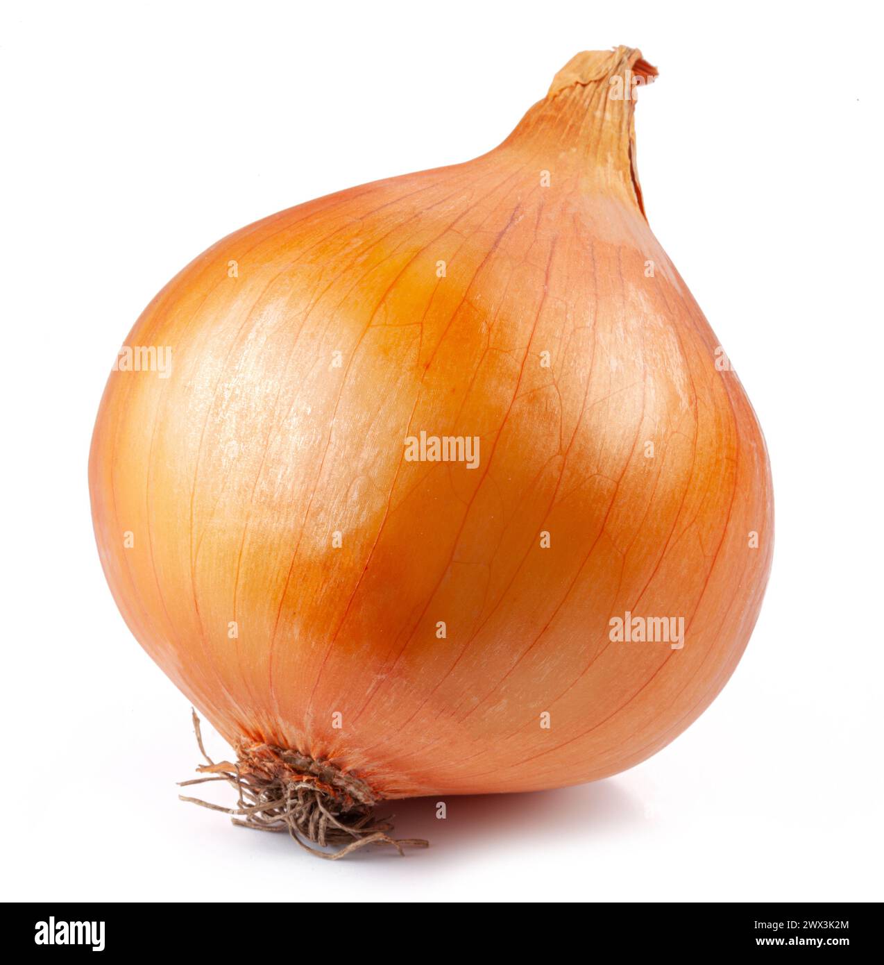 Onion isolated closeup hi-res stock photography and images - Alamy