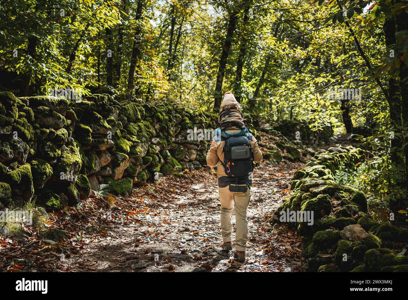 Father and daughter hiking through the forest hi-res stock photography ...