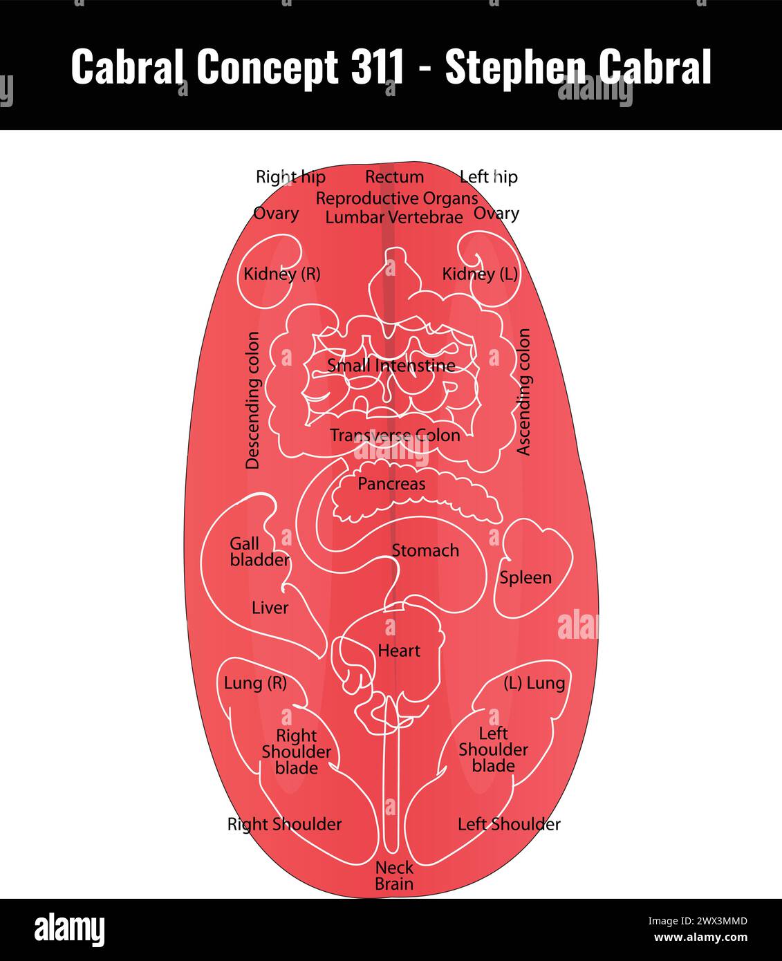 Holistic health wellness concept Stock Vector Images - Alamy