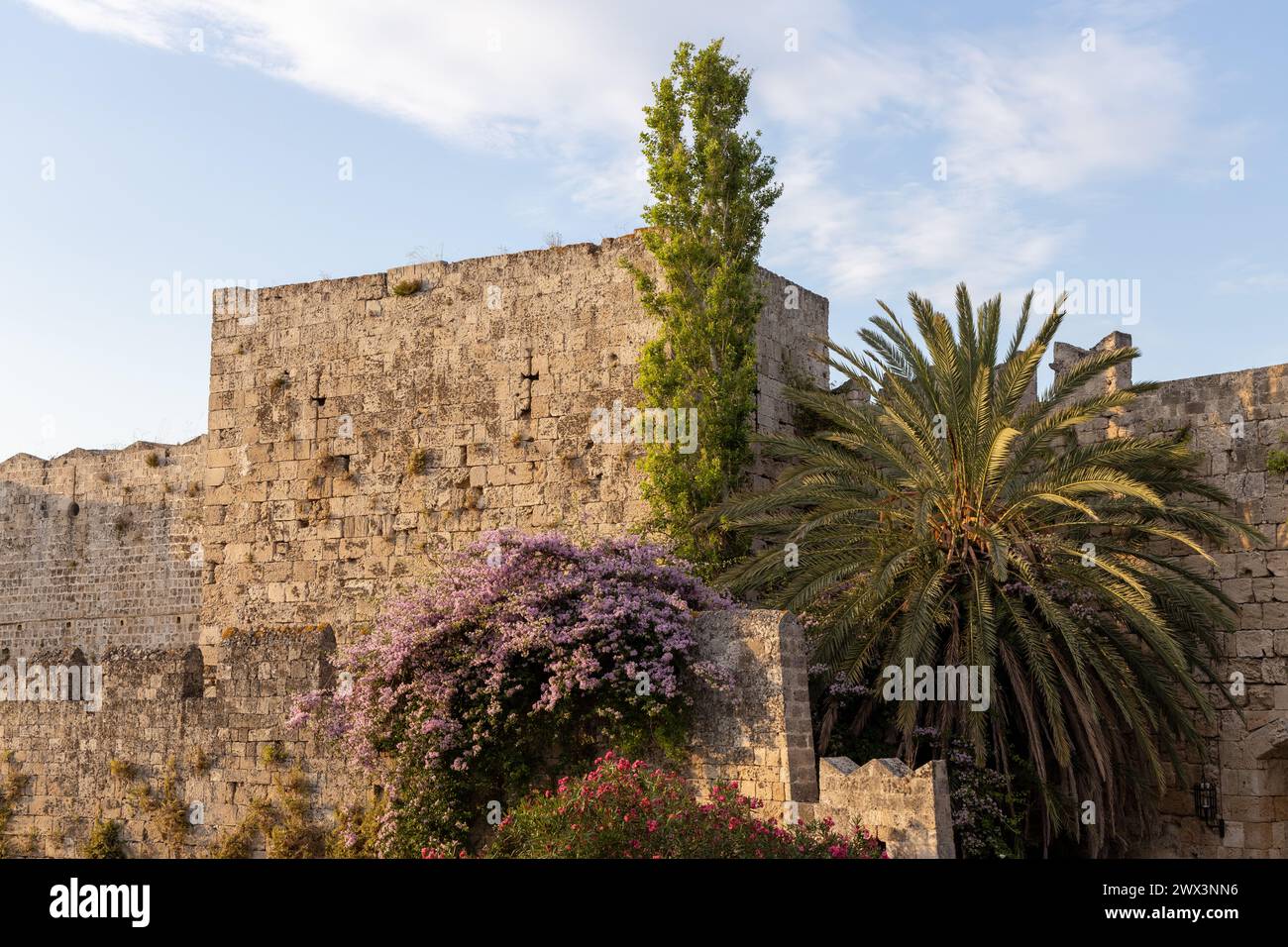 Stone tower, palm tree and flowers in the harbour of Rhodes, Greece ...