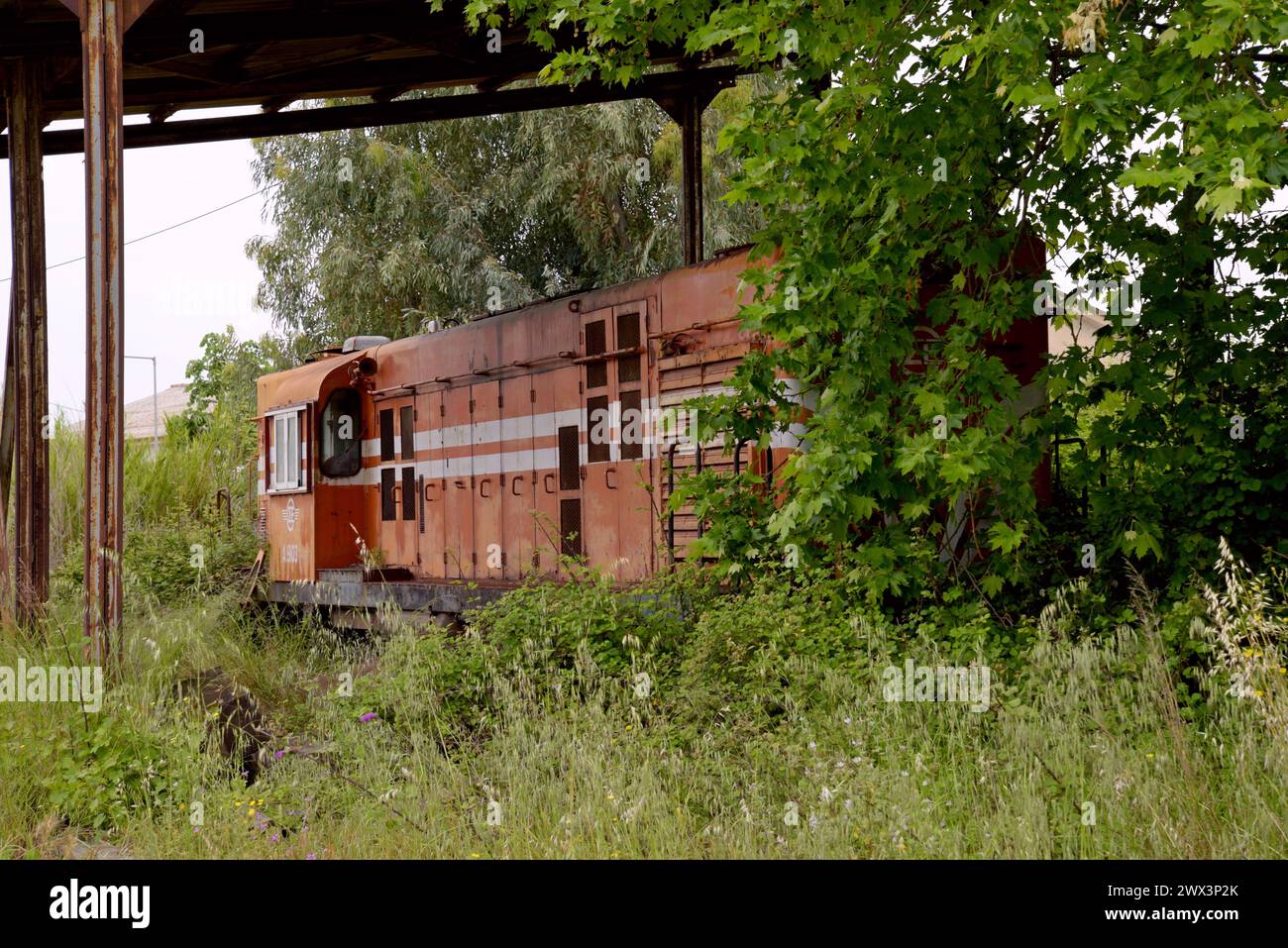 Redundant overgrown Alstom diesel loco at Pyrgos Railway Depot ...