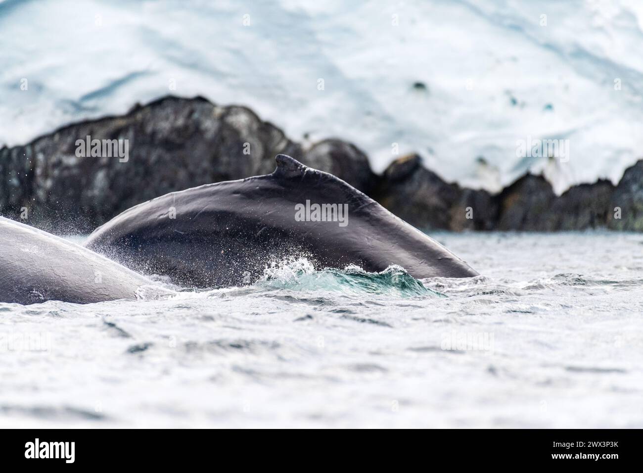 Charlotte graham photography hi-res stock photography and images - Alamy
