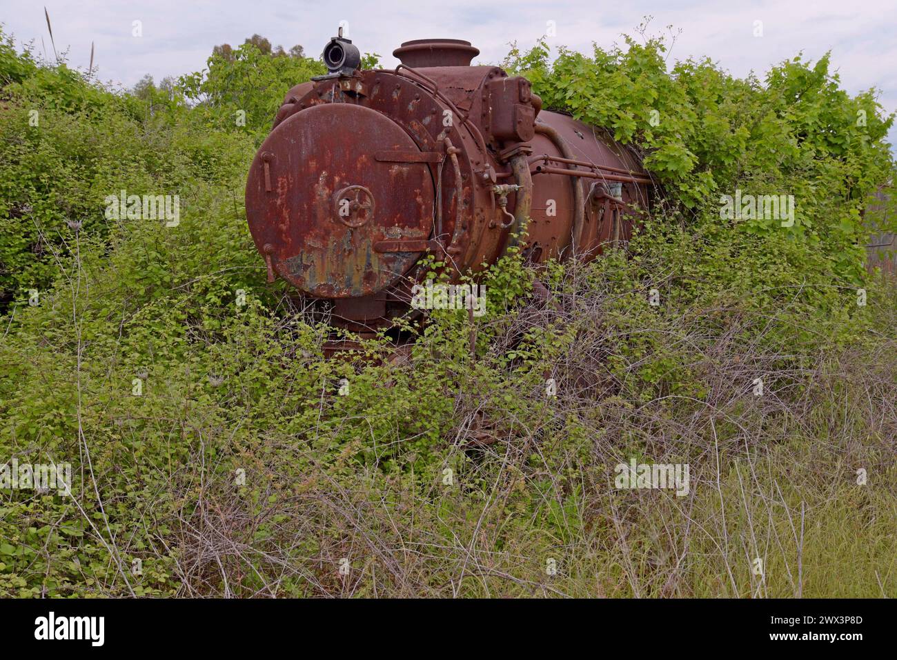 OSE 2-8-2 Steam loco 7115 built by Breda, Italy, abandoned and rusty at ...