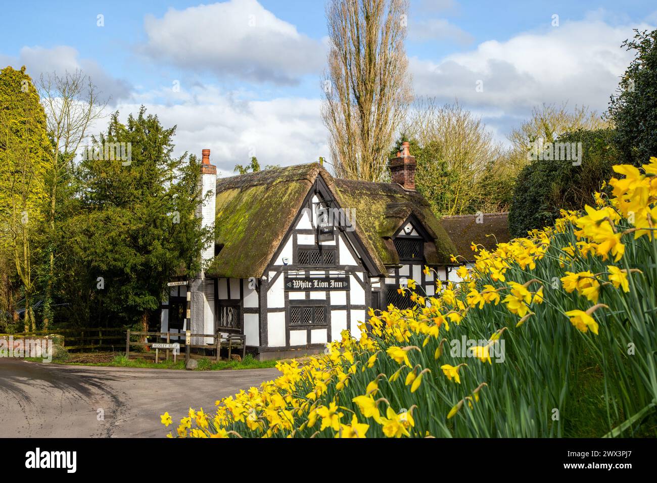The White Lion a17th century black and white half timbered thatched ...