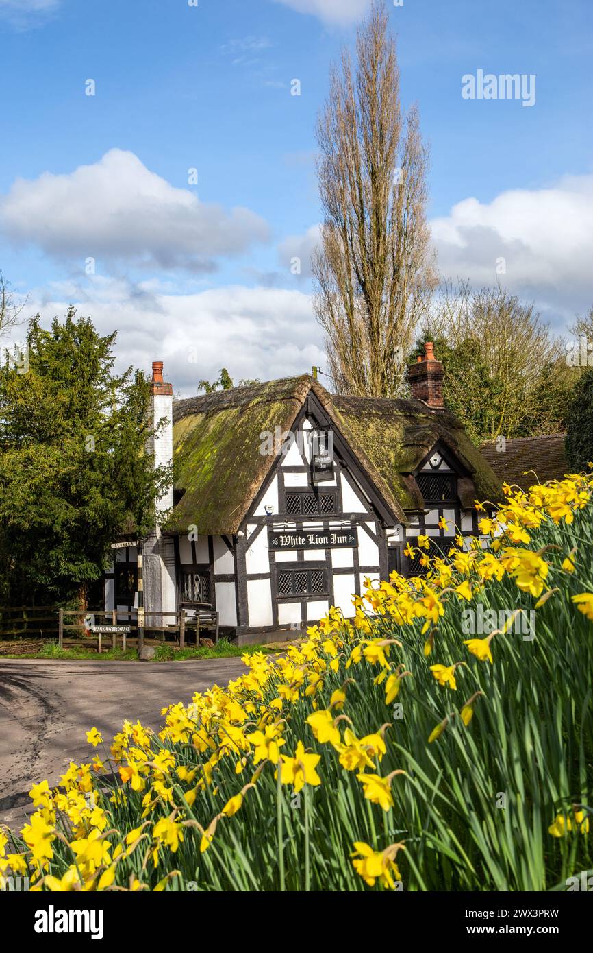 The White Lion a17th century black and white half timbered thatched ...