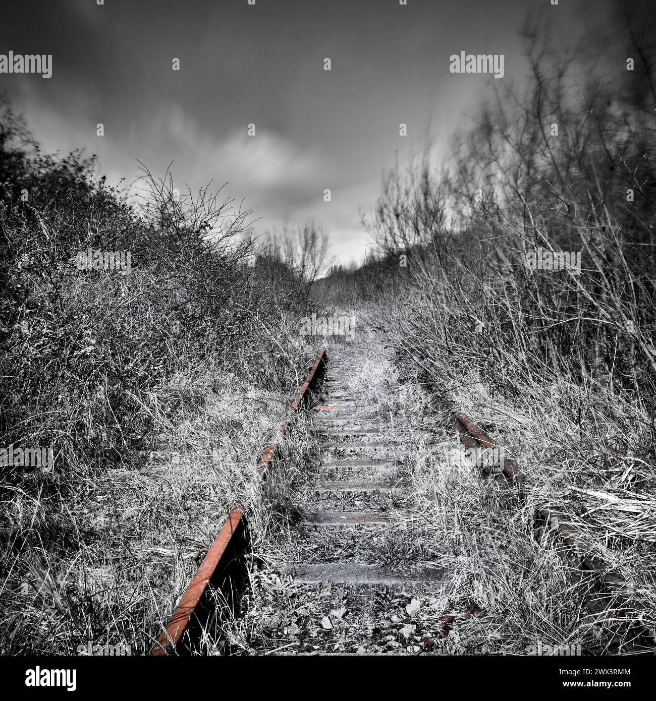 Disused rail line running through wilderness area Stock Photo - Alamy