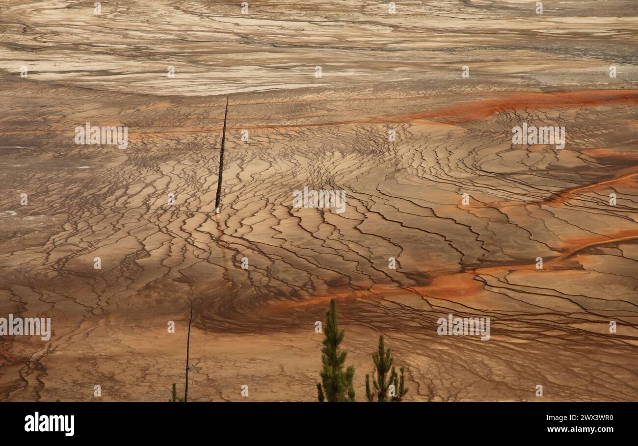 Grand Prismatic Spring in Yellowstone National Park, Wyoming Stock ...